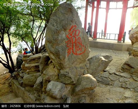 残缺的石龟高清图片下载 红动中国