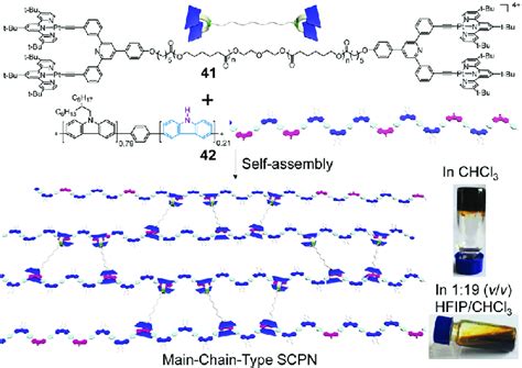 Graphic Representation Of The Formation Of Main Chain Type Download Scientific Diagram