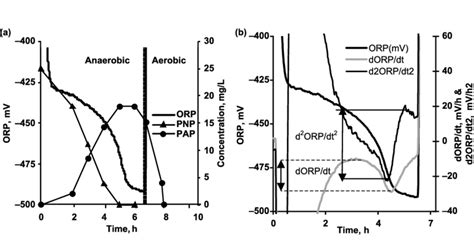 A Anaerobic Aerobic Cycle Showing The Pnp And Pap Degradation B Download Scientific Diagram