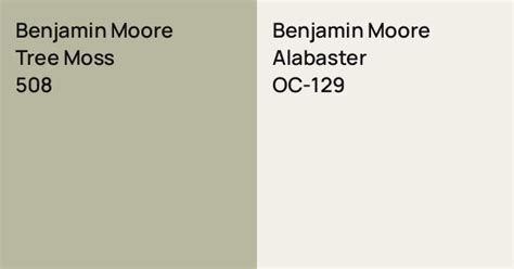 Benjamin Moore Tree Moss Vs Benjamin Moore Alabaster Comparison