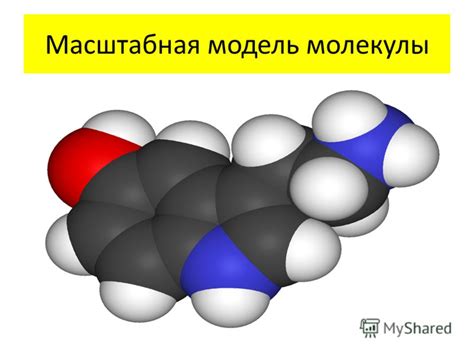 Презентация на тему: "Сахароза Строение молекулы сахарозы Модель ...