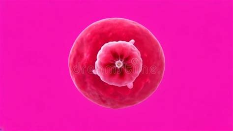 exploring cellular structures and processes in a captivating micro