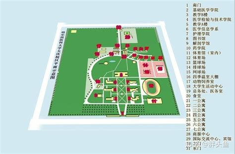 哈尔滨医科大学大庆校区 知乎