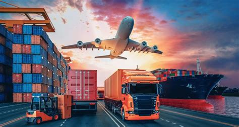 Tipos De Aduanas Sus Funciones En El Comercio Internacional