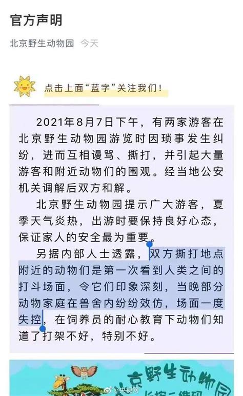 别让猩猩看笑话 北京野生动物园曝光“跨物种”丢人事件游客