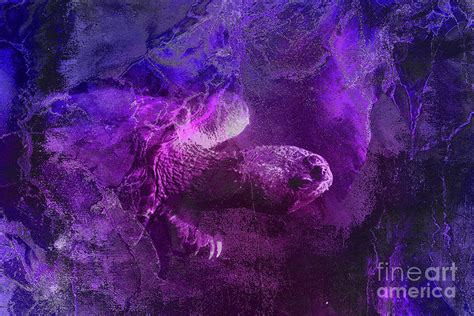 Snapping Turtle 20 Digital Art By Chris Taggart Pixels