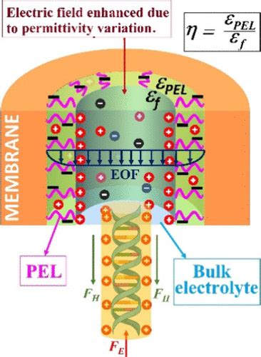 IonSolvent Interactions Under Confinement Hold The Key To Tuning The DNA Translocation Speeds