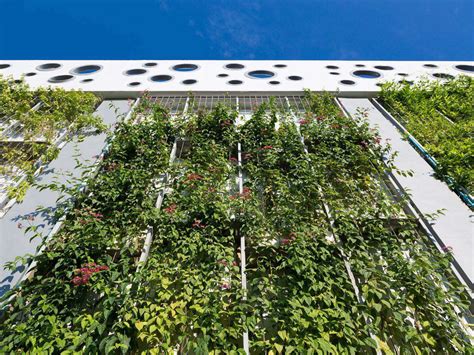 Arboretum Stadt Und Dachbegrünung Vegetation Baunetz Wissen