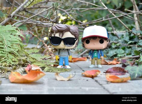 Funko Pop Action Figures Of Steve And Dustin From Popular Horror Tv