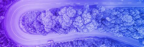 What The Green Claims Directive Means For Companies An Overview