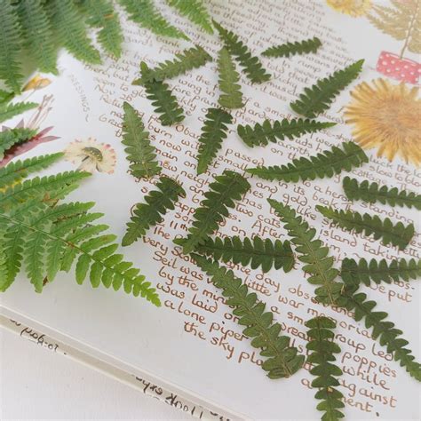 Pressed Leaf Art Etsy