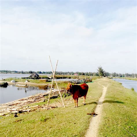 Sex Soft Machine Youtube Music