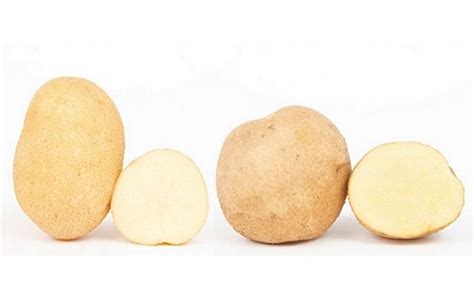 Lower Austrian Seed Growers' Cooperative presents two new potato ...