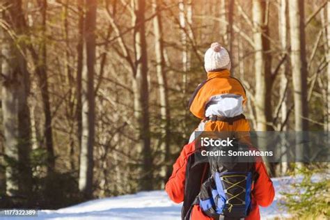 눈 덮인 숲에서 길을 따라 걷는 아들을 어깨에 짊어진 남자 겨울 하루 클로즈업 가문비나무에 대한 스톡 사진 및 기타 이미지 가문비나무 걷기 겨울 Istock