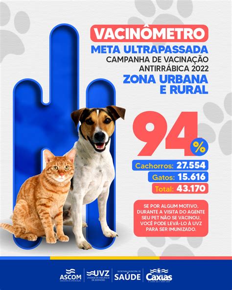 SaÚde Campanha De Vacinação De Cães E Gatos Ultrapassa Meta Em Caxias