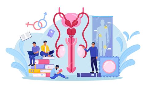 La Gente Está Estudiando Educación Sexual Lección De Biología Y