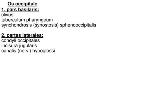 Lebka Cranium Ppt Stáhnout