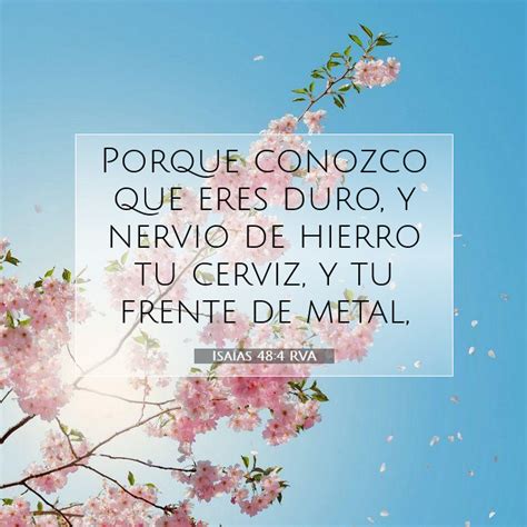 Isaías RVA Porque conozco que eres duro y nervio de hierro
