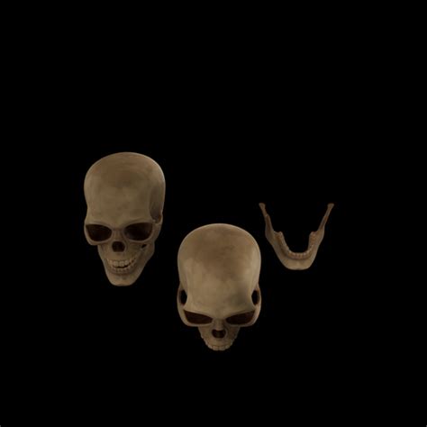 Stl File Stylized Human Skull 3d Model Fully Textured High Quality