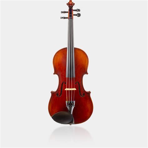 String Instruments Violin Semi Professional Music Instrument New