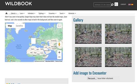 Display In Firefox Browser Bug Reports Wild Me Community Forums