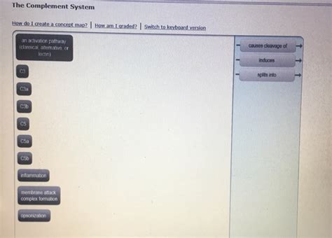 Solved How To Create A Concept Map Design A Concept Map Chegg
