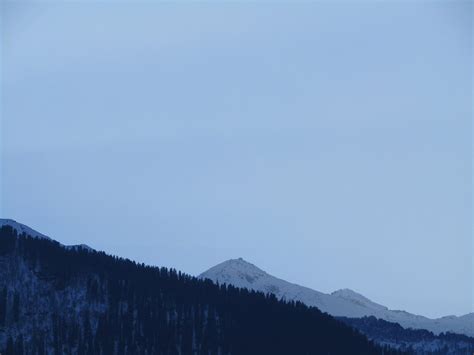 The Holiday Resorts Cottages And Spa Prices And Cottage Reviews Manali