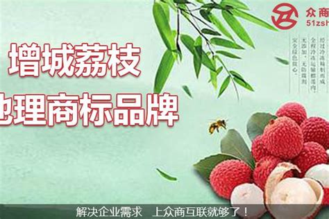 广州增城荔枝申请地理商标 55万一颗荔枝你见过吗？