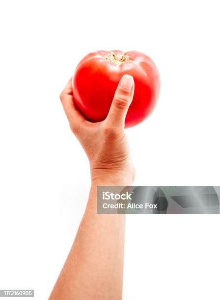 흰색 배경에 고립 된 하나의 큰 빨간 토마토를 들고 있는 여성의 손 건강한 생활방식에 대한 스톡 사진 및 기타 이미지 건강한