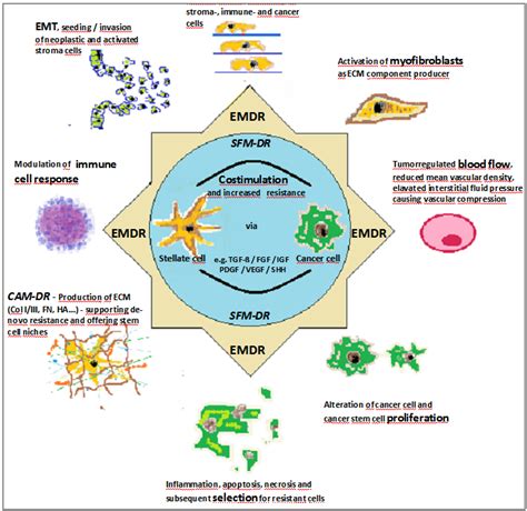 Desmoplasia And Chemoresistance In Pancreatic Cancer