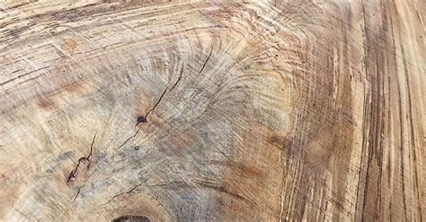 Ash Drying Album On Imgur