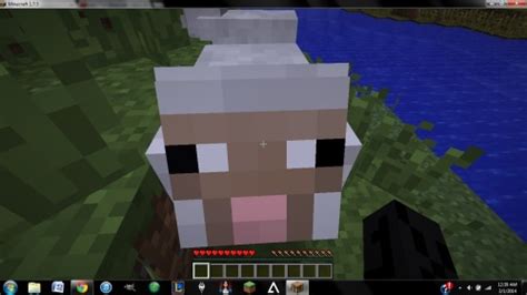 Minecraft Sheep Tumblr