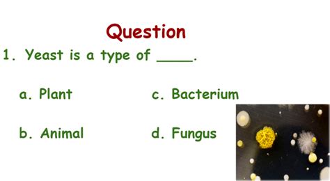 Challenge Can You Pass This Easy Science Quiz Fuzia