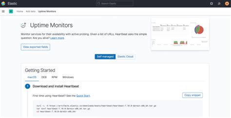 带你读Elastic Stack 实战手册之523 5 11 Uptime 中 阿里云开发者社区