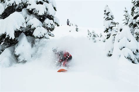 북미 최고의 스키 리조트에서 스노우보드 신선한 파우더 20 24세에 대한 스톡 사진 및 기타 이미지 20 24세 가루눈 겨울 Istock
