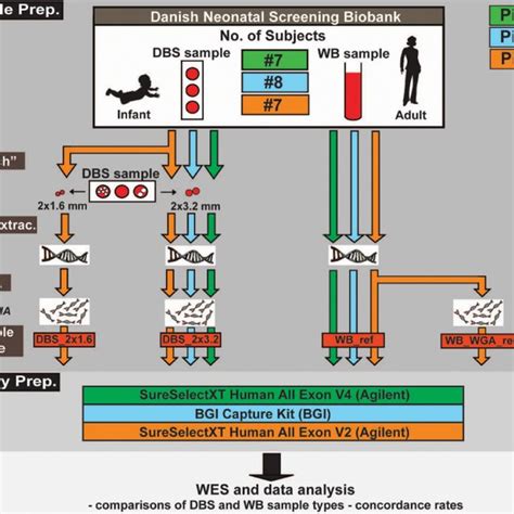 A General Framework Of Wes Data Analysis Five Major Steps Are Shown