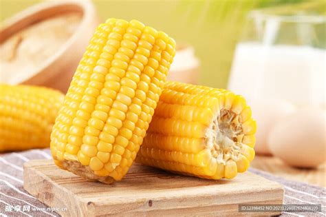 玉米摄影图 蔬菜 生物世界 摄影图库 昵图网nipic