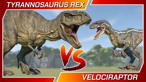 Dinosaurs Battle Tyrannosaurus Rex Vs Velociraptor Jurassic World