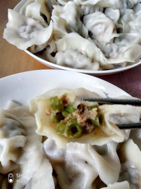 【长豆角饺子馅的做法步骤图，怎么做好吃】兔喜二下厨房