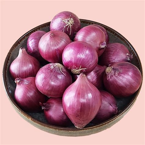 미니양파 신선샬롯 10kg 신수코리아