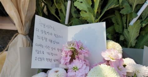 구출 후 술집서 놀았는데제가 참사 생존자 먹먹한 상담글