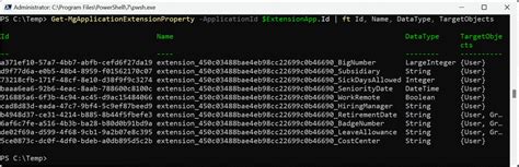 how to use entra id directory extensions with powershell