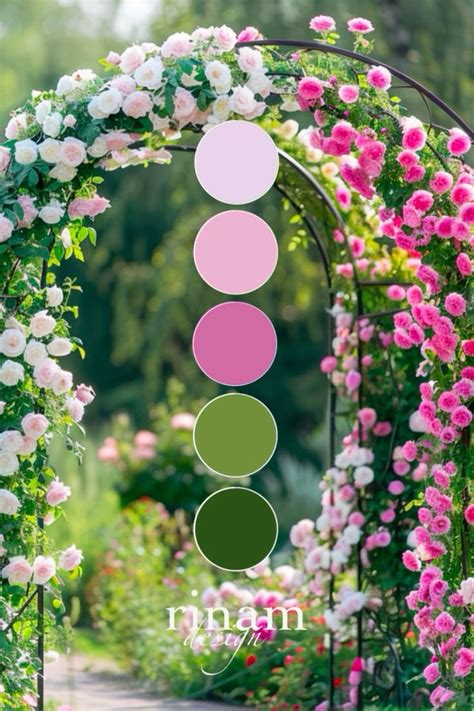 Потрясающие розы 🌹 Палитра цветов Цветы Растения