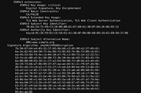 Github Sjsu Cmpe272simple Pki A Simple Pki Infrastructure