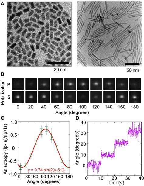 Rod Shaped Quantum Rods For Single Particle Angular Tracking A