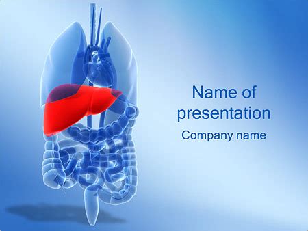 Liver PowerPoint Template Backgrounds Google Slides ID