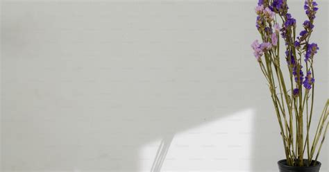 흰색 벽이 있는 흰색 원형 테이블에 세라믹 꽃병 카메라 및 노트북이 있는 거실의 현대적인 홈 인테리어 디자인 사진 Unsplash의 거실 이미지