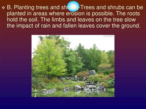 Ppt Soil Erosion Causes And Solutions Powerpoint Presentation Free