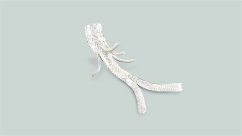 Tambe Excluder® Thoracoabdominal Branch Endoprosthesis Gore Medical