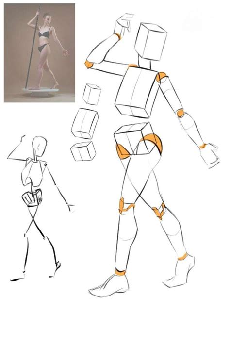 Figure Drawing Reference Photos References Figure Drawing Reference